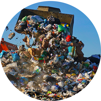 Our Purpose | Alterra